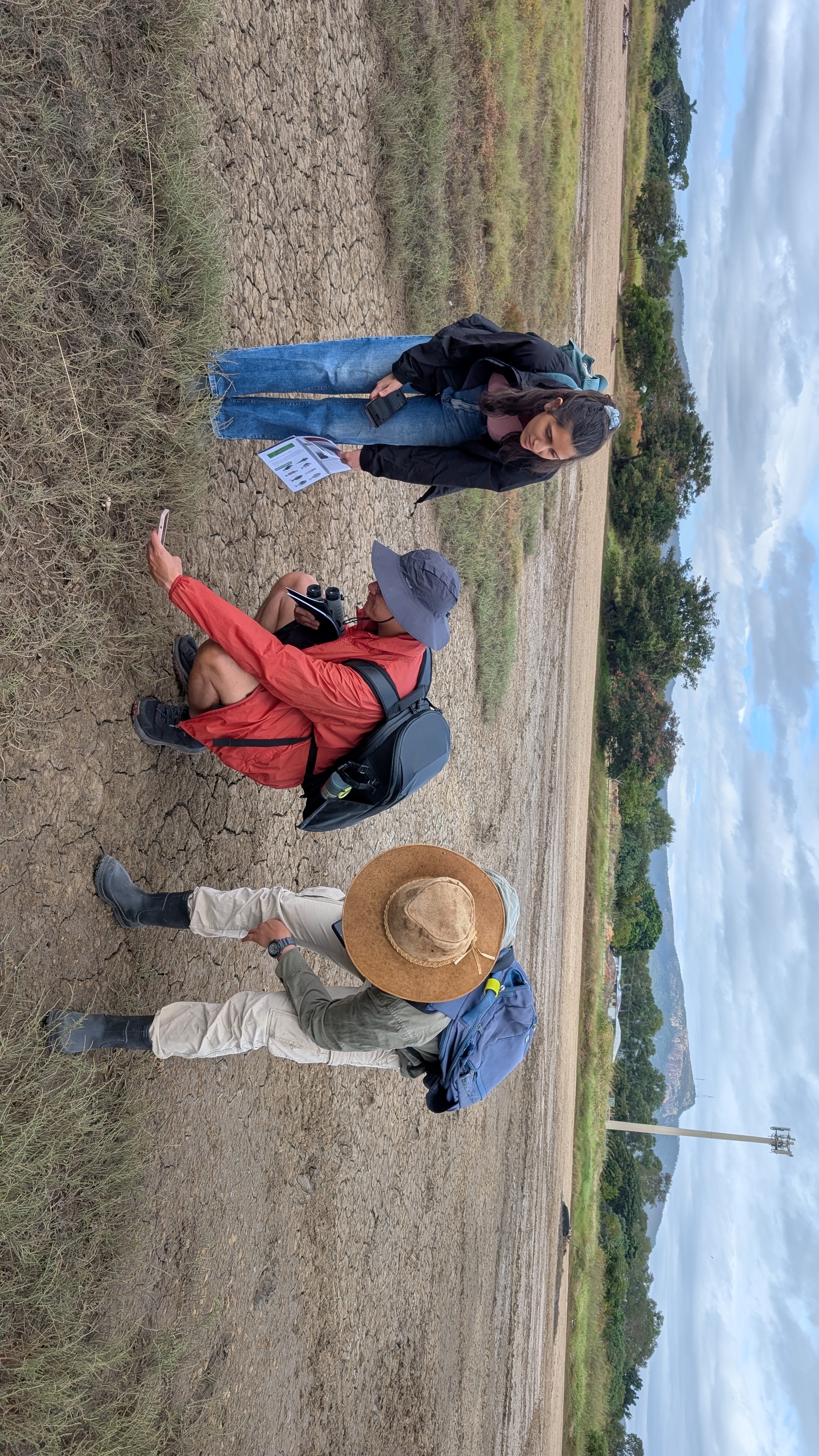 Oonoonba - Saltmarsh SAVERS Surveys | What's On Townsville