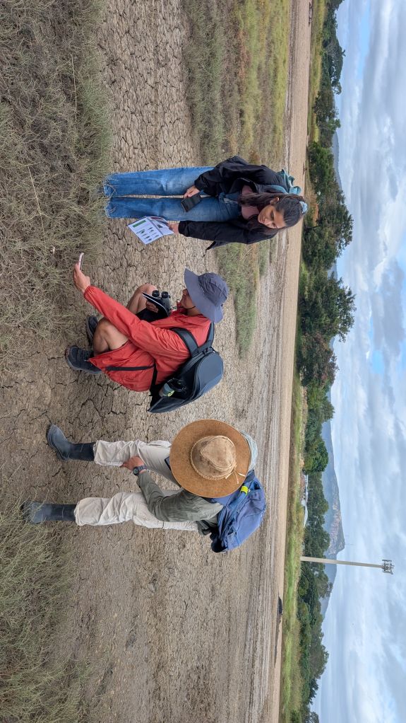Oonoonba - Saltmarsh SAVERS Surveys | What's On Townsville