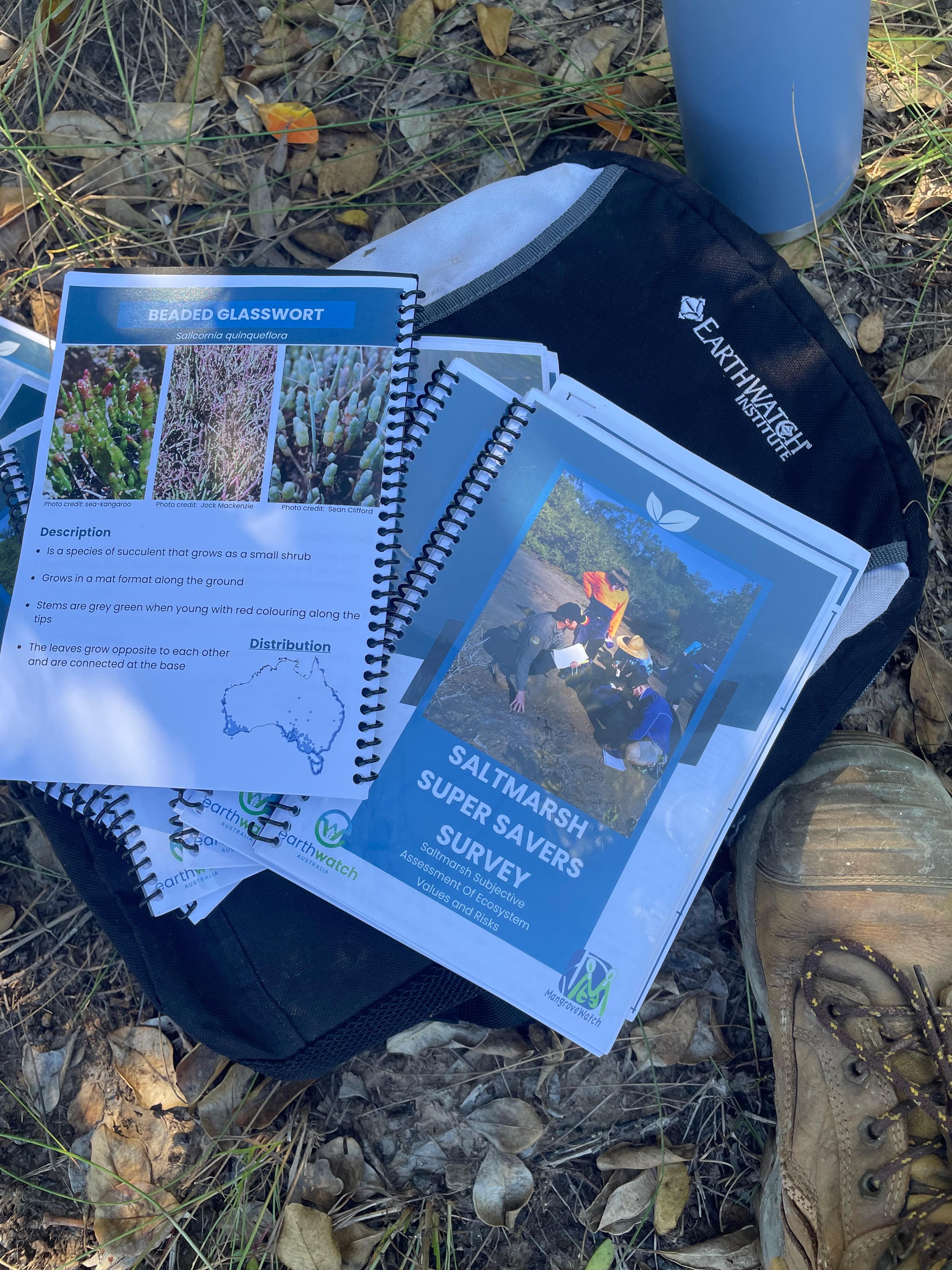 Oonoonba - Saltmarsh SAVERS Surveys | What's On Townsville