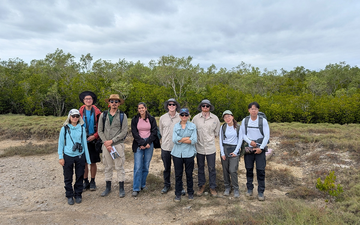 Oonoonba - Saltmarsh SAVERS Surveys | What's On Townsville